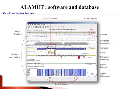 Ppt Software Programs For Sequence Variant Detection And Interpretation Powerpoint