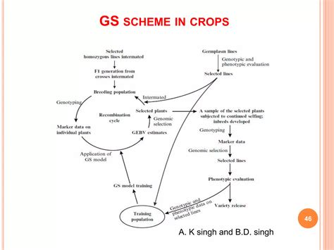 Genomic Selection For Crop Improvement Pptx Agriculture Industries