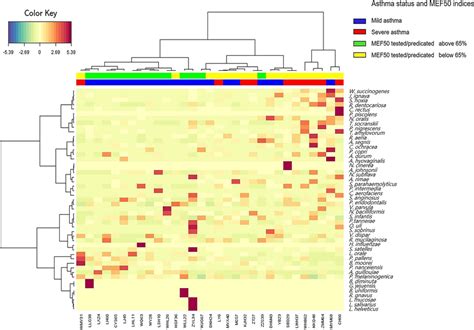clustered image maps by different mef50 pred groups including asthma