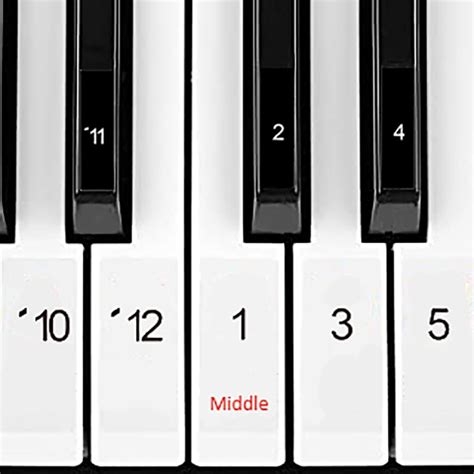 Numbered Notes Home Piano Key Stickers Because You Can