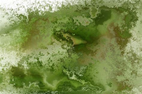 600 Free Fuzzy Blob And Fuzzy Images Pixabay