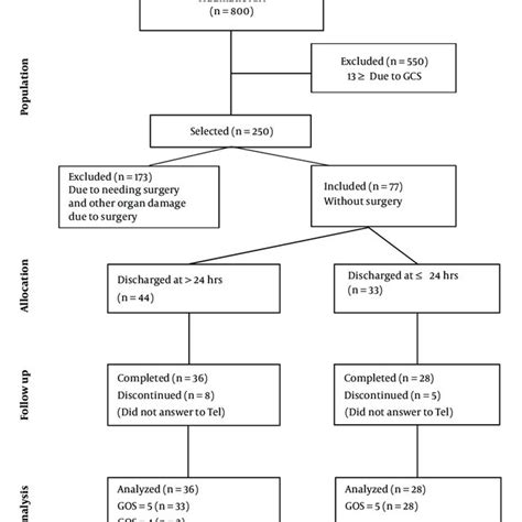 Flow Diagram Of Patients Classification Download Scientific Diagram