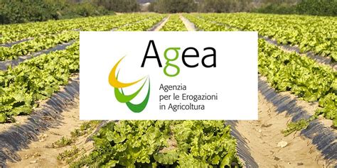 Agea Per Evitare Ritardi Sulle Scadenze Europee Serve Limpegno Di
