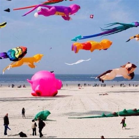 Kites At The Beach Go Fly A Kite Bright Side Of Life