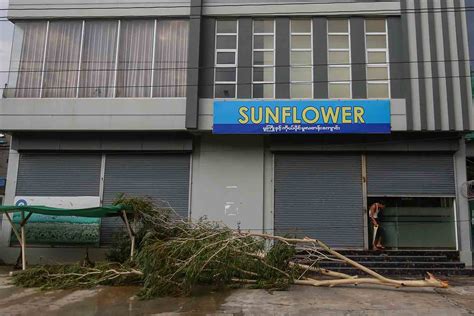 Dvb ချမ်းမြသာစည်မြို့နယ်တွင် လေပြင်းကြောင့် သစ်ပင်များလဲ၊ နေအိမ်များ အမိုးလန် ဓာတ်ပုံ