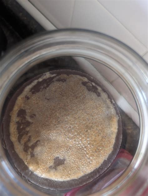First Time Okay R Kombucha