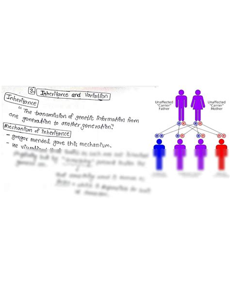 Solution Biology Class 12 Inheritance And Variation Chapter Notes