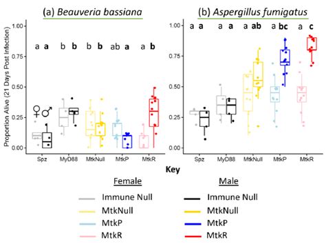 Side By Side Male And Female Fungal Spore Infections Demonstrate Key Download Scientific