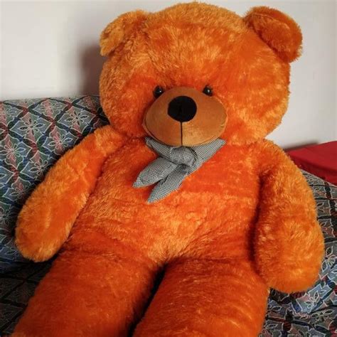 Orange Teddy Bear Rorange