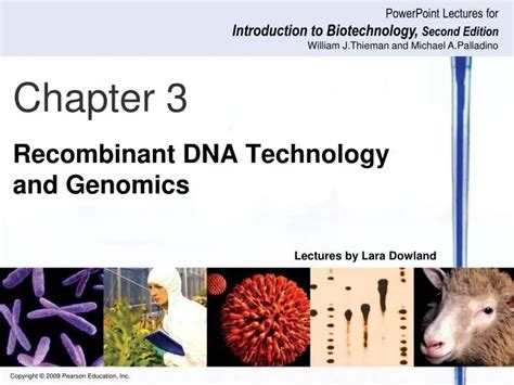 PPT Chapter 3 PowerPoint Presentation Free Download ID 5666319