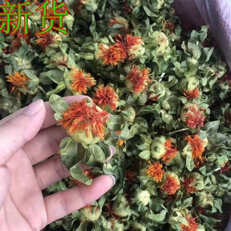 红花果叶红花果叶图片大全红花果是红花吗大山谷图库
