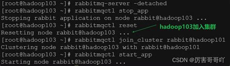 （二）rabbitmq实战——rabbitmq高可用集群搭建 Csdn博客