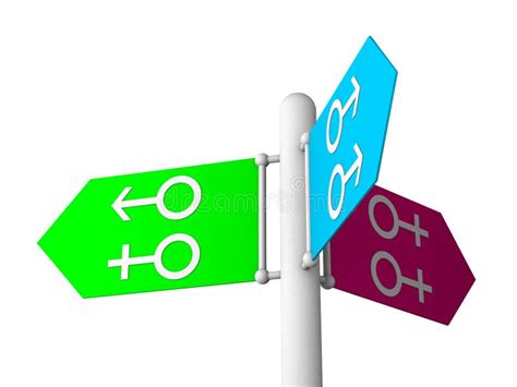 Sexual Diretions Stock Illustration Illustration Of Homosexual 33997610