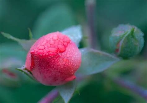 新闻稿发布：有哪些新闻稿发布平台？ 知乎