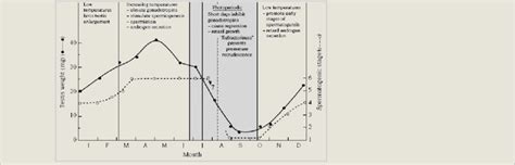 2 Summary Of The Relationships Among Photoperiod Temperature And Download Scientific Diagram