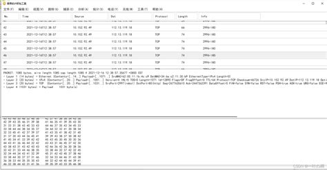 【毕设日记】4go语言基于gopacketfyne简单抓包工具实现之guigolangfyne 成功案例 Csdn博客