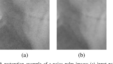 Figure 1 From Robust Grayscale Distribution Estimation For Contactless Palmprint Recognition
