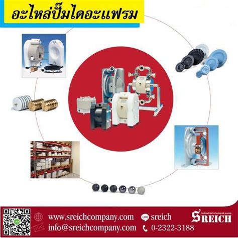 ขายอะไหล่ปั๊มไดอะแฟรมยุโรป Spare Part Diaphragm Pump Ennxo