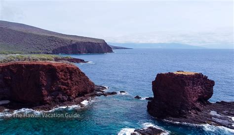 22 Best Things To Do On Lanai Lanai Cat Sanctuary Details And More
