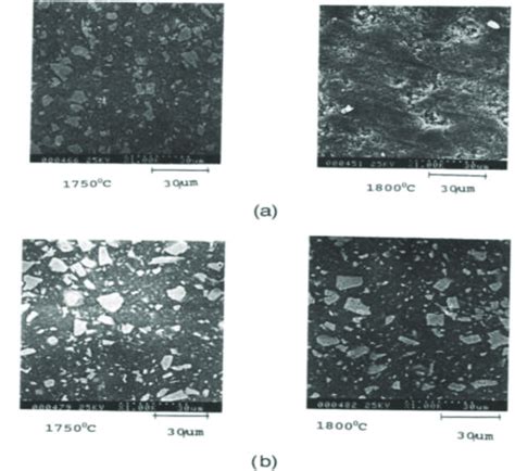 Sem Photograph Of Microstructure [24] Download Scientific Diagram