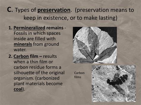 PPT Chapter 13 1 Fossils PowerPoint Presentation ID 2674000