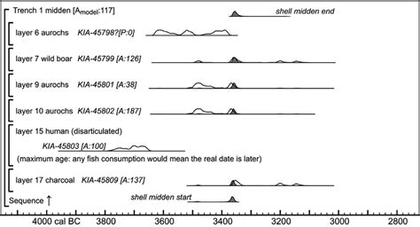 Bayesian Chronological Model Of The Midden Sequence Excavated In 2011