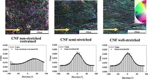 Directionality Analysis On The SEM Micrographs Of The CNF Film Surfaces