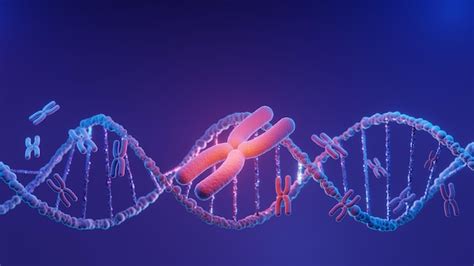 Premium Photo Dna Spiral Structure Dna Helix Complementary Strand Of Sequences Genetic Code Or