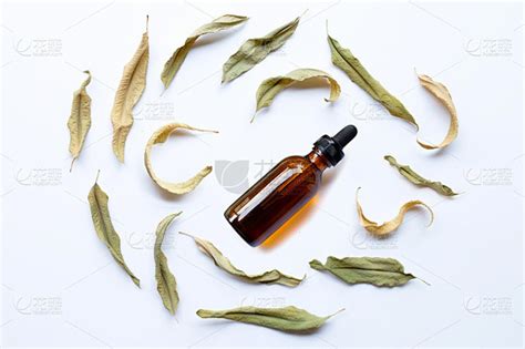 桉树精油瓶与干叶在白色