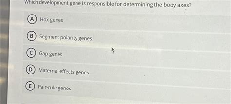Solved Which Development Gene Is Responsible For Determining