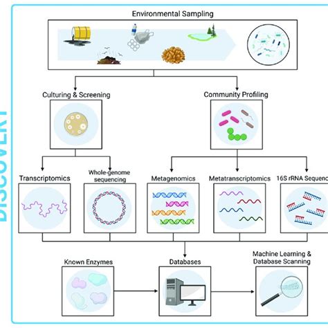 Diagram Showing The Interconnection Between The Different Methodologies Download Scientific