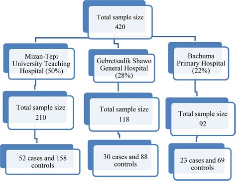 Frontiers Determinants Of Cervical Cancer Screening Uptake Among Reproductive Age Women In
