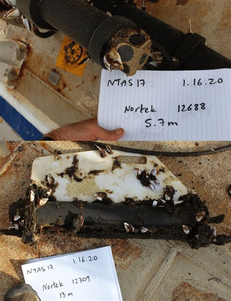 Ntas 17 Subsurface Instrumentation At Recovery Upper Instruments