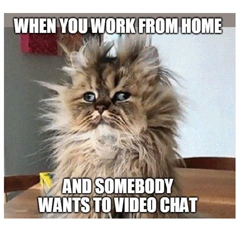Funny Work From Home Memes Funny Memes Fun