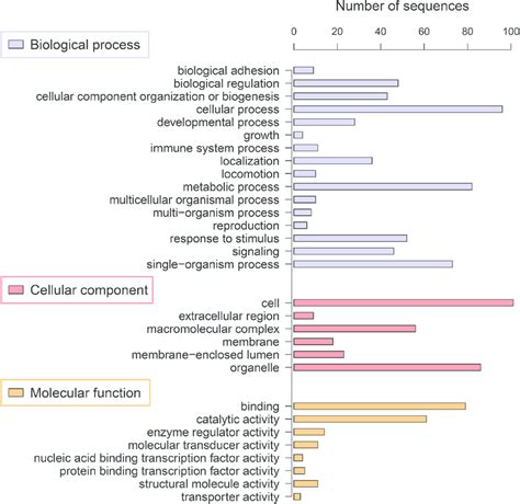 Histogram Presentation Of Gene Ontology Go Term For Putative Coding