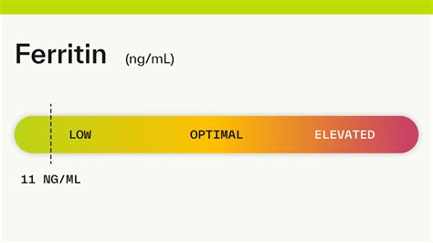 Ferritin Overview