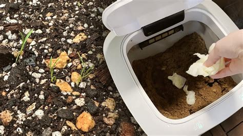 음식물처리기로 거름 만들기ㅣ🥕당근 심기🥕 Youtube