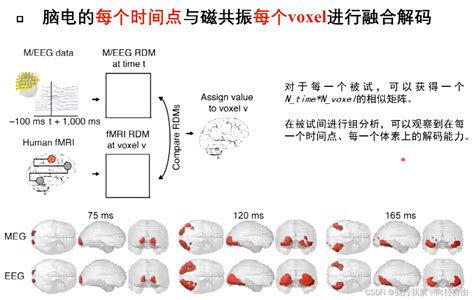脑电信号处理与特征提取——6 运用机器学习技术和脑电进行大脑解码（涂毅恒）