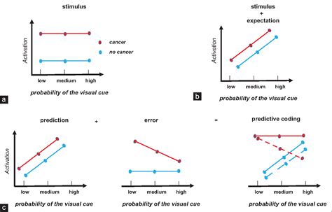 A Review And Perspective On The Neural Basis Of Radiological Expertise Journal Of Clinical