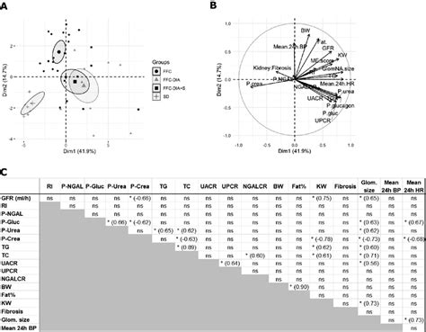Pca Plot A Pca Variable Correlation Plot B And Spearman Download Scientific Diagram