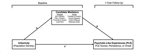 Mediation Model Age In Months And Sex At Birth M F Were Included Download Scientific
