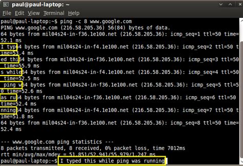 How Does Bash Retrieves What Was Written On The Terminal Without Enter