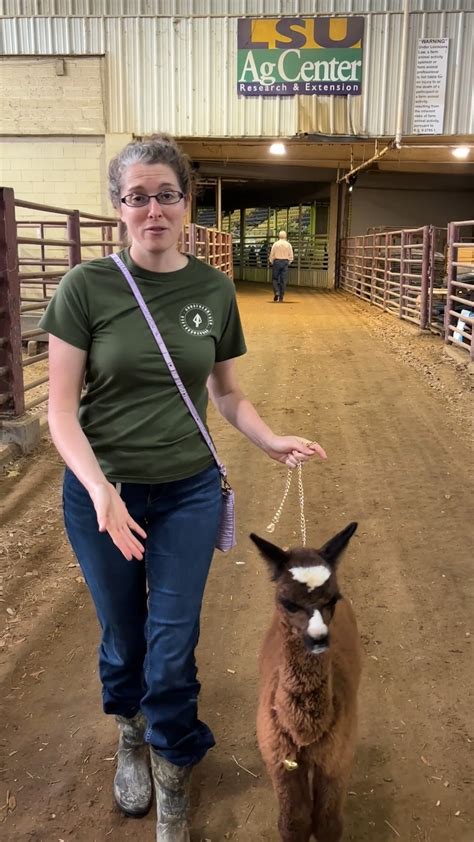 Anna Ribbeck Husband Is The Swamp People Star Married