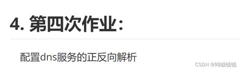 Linux部署dns服务的正反向解析正向解析文件 Csdn博客