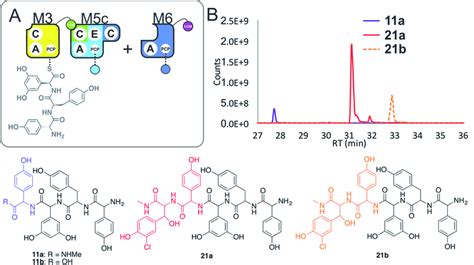 Engineering Modular Interactions Across A And C Domains For Modules M3