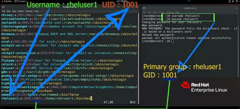 The Etcpasswd File In Linux Explained With Examples