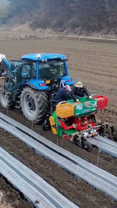 봄감자 파종 농작업 대행 시즌 시작 Potato Youtube