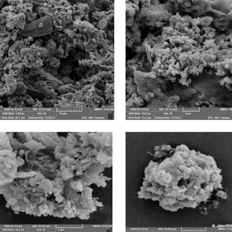 Methanogenic Community During Solid State Anaerobic Digestion Ss Ad Download Scientific