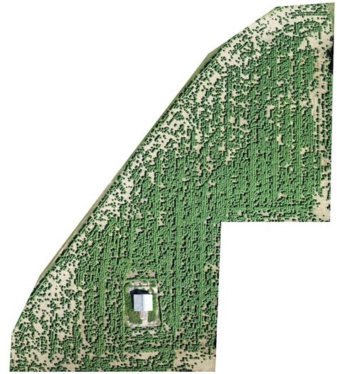 planter setting issue in sunflower field