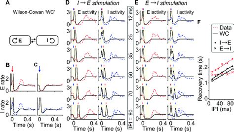 The Wilson Cowan Equations Could Not Model The Observed Cortical Download Scientific Diagram